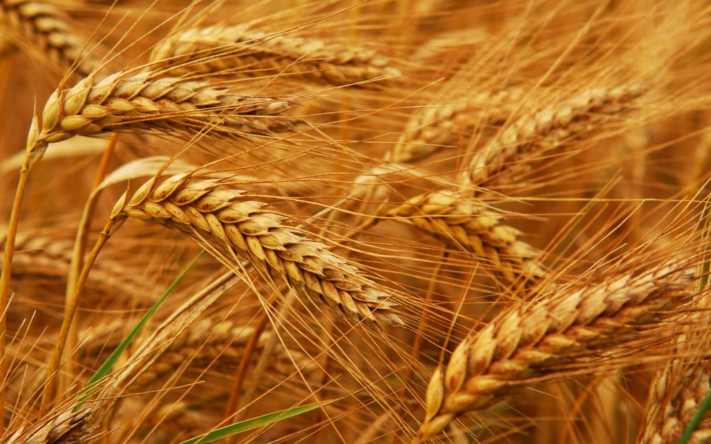 Unnatbij::Largest Agriculture Community Group
